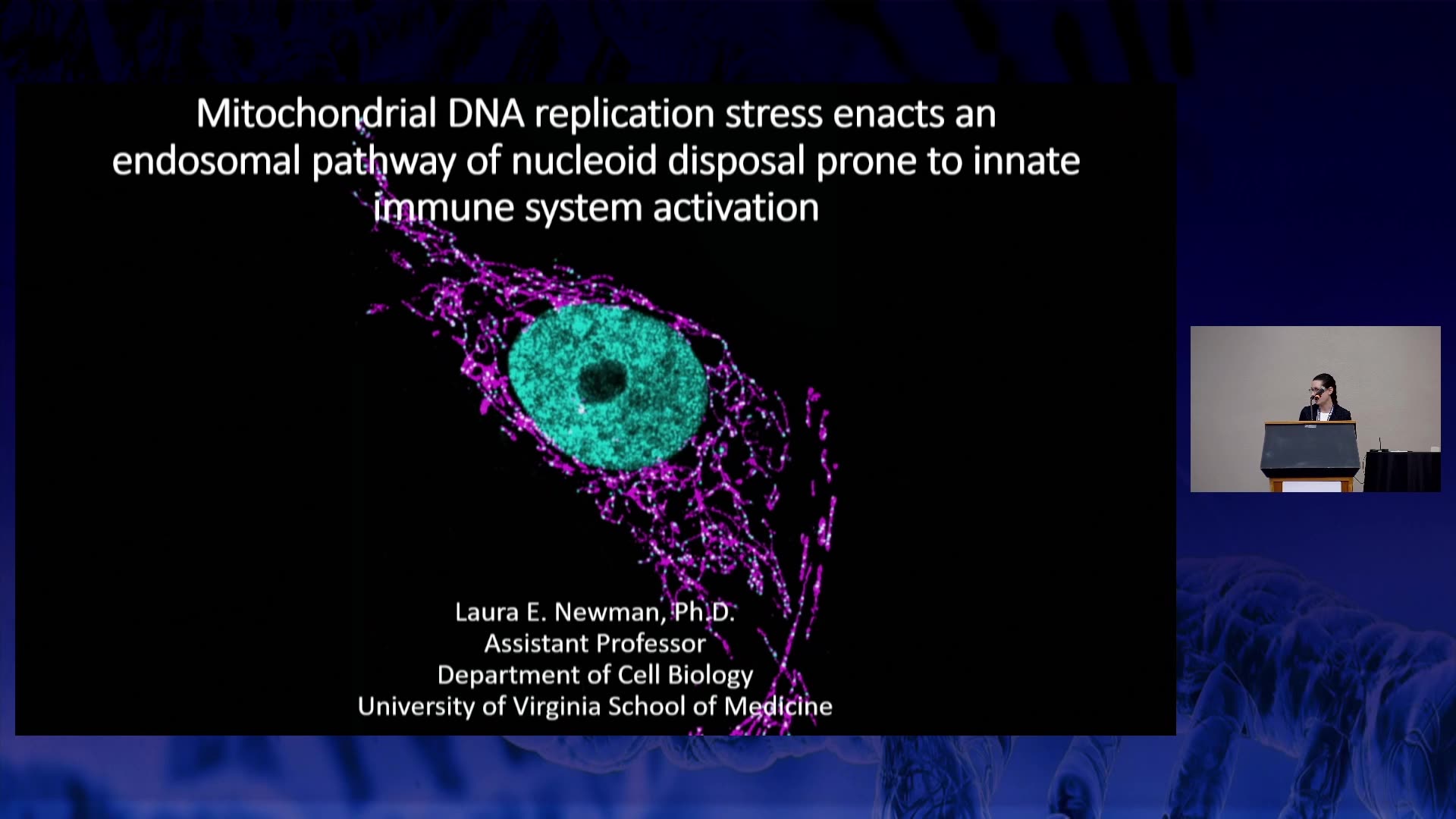 Mitochondrial DNA replication stress triggers a pro-inflammatory ...