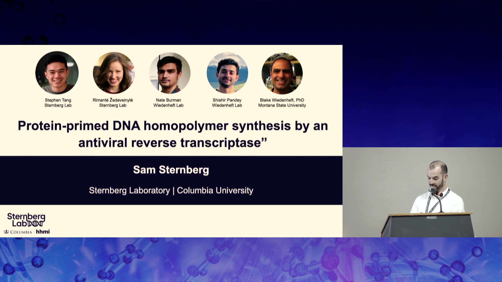 Protein-primed DNA Homopolymer Synthesis by an Antiviral Reverse ...