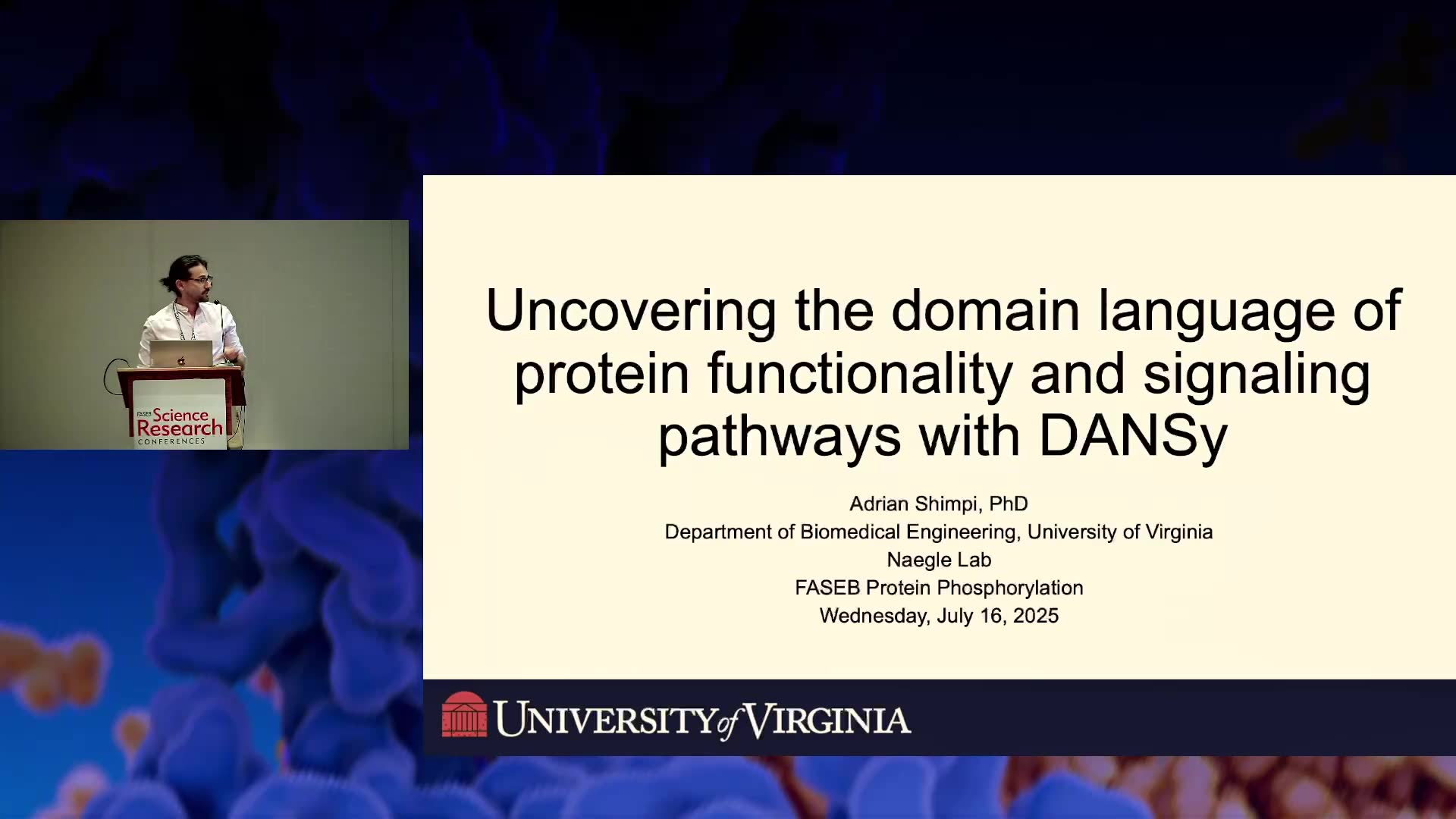 Uncovering the domain language of protein functionality and signaling ...