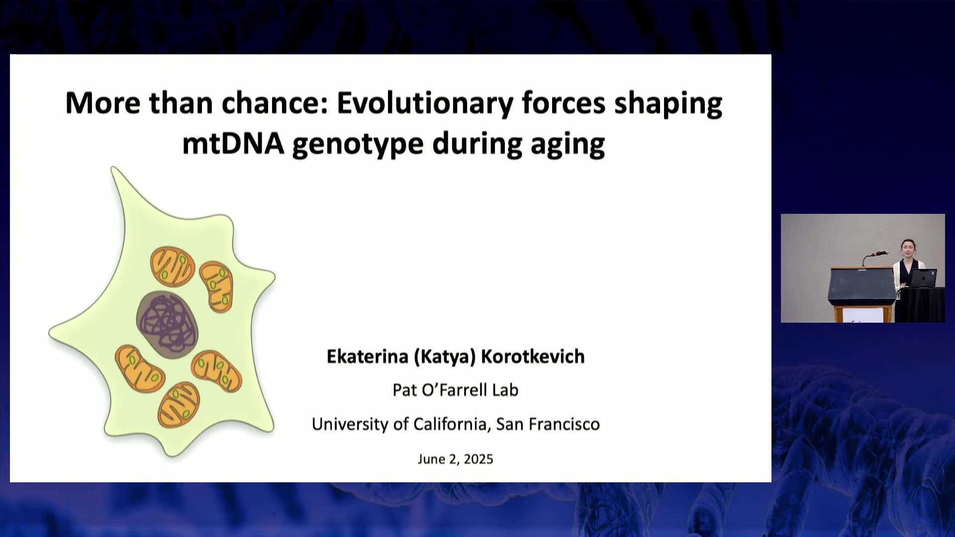 More than chance: evolutionary forces shaping mtDNA genotype during ...