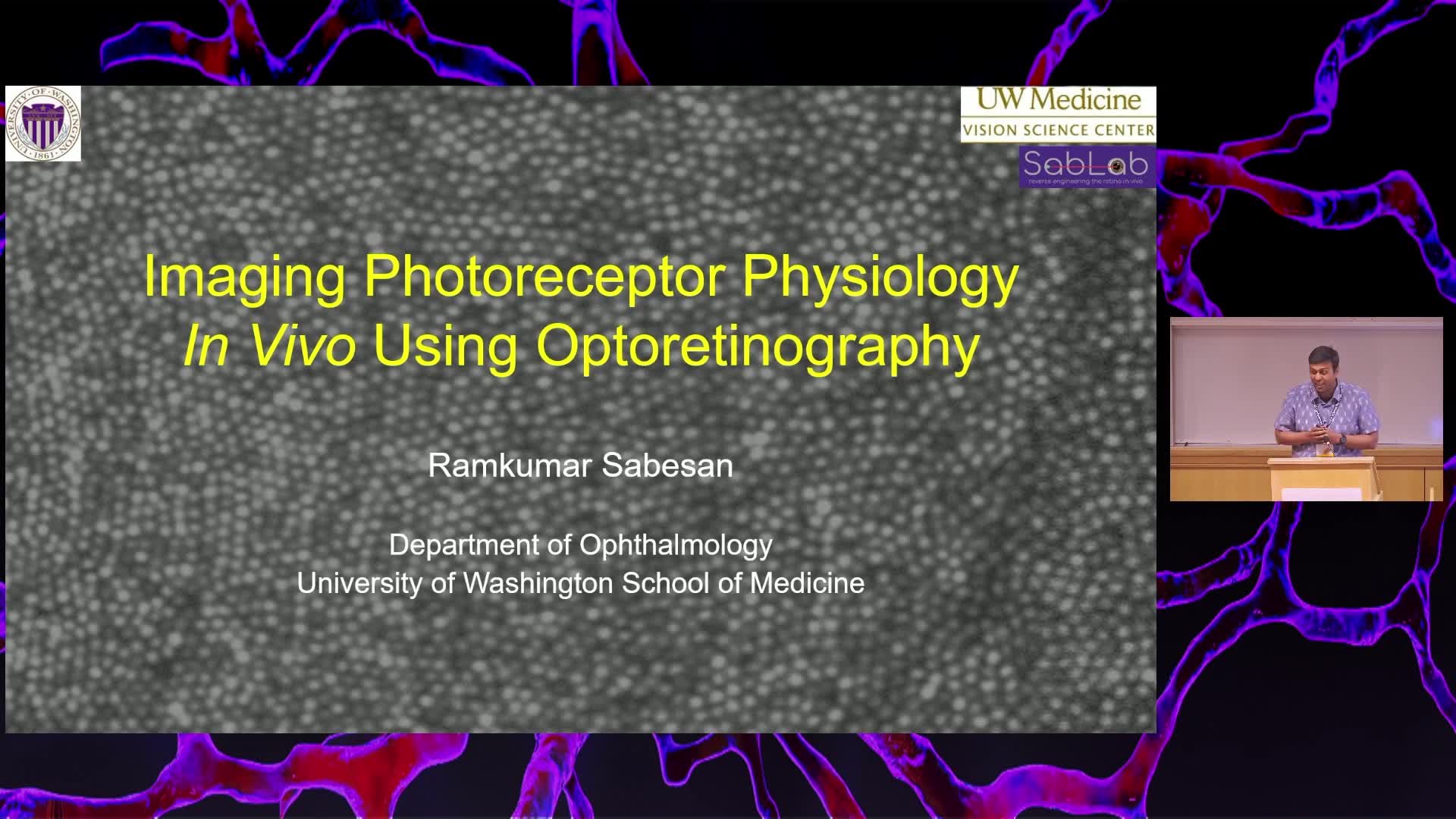 Imaging photoreceptor physiology in vivo using optoretinography | FASEB ...