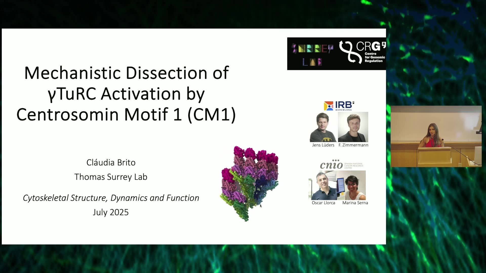 Mechanistic dissection of γTuRC activation by centrosomin motif 1 (CM1 ...