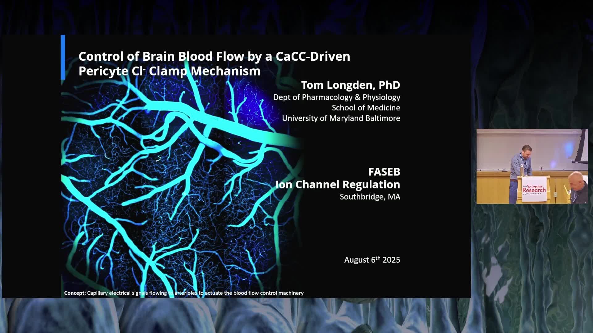 Control of brain blood flow by a CaCC-driven pericyte Cl- clamp ...